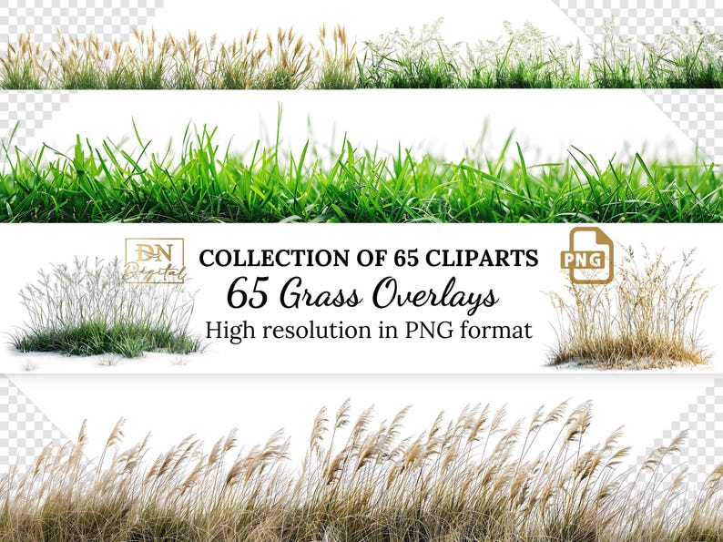 65 Grass Overlays/clipart Collection • Green & Dry Grass PNG With ...