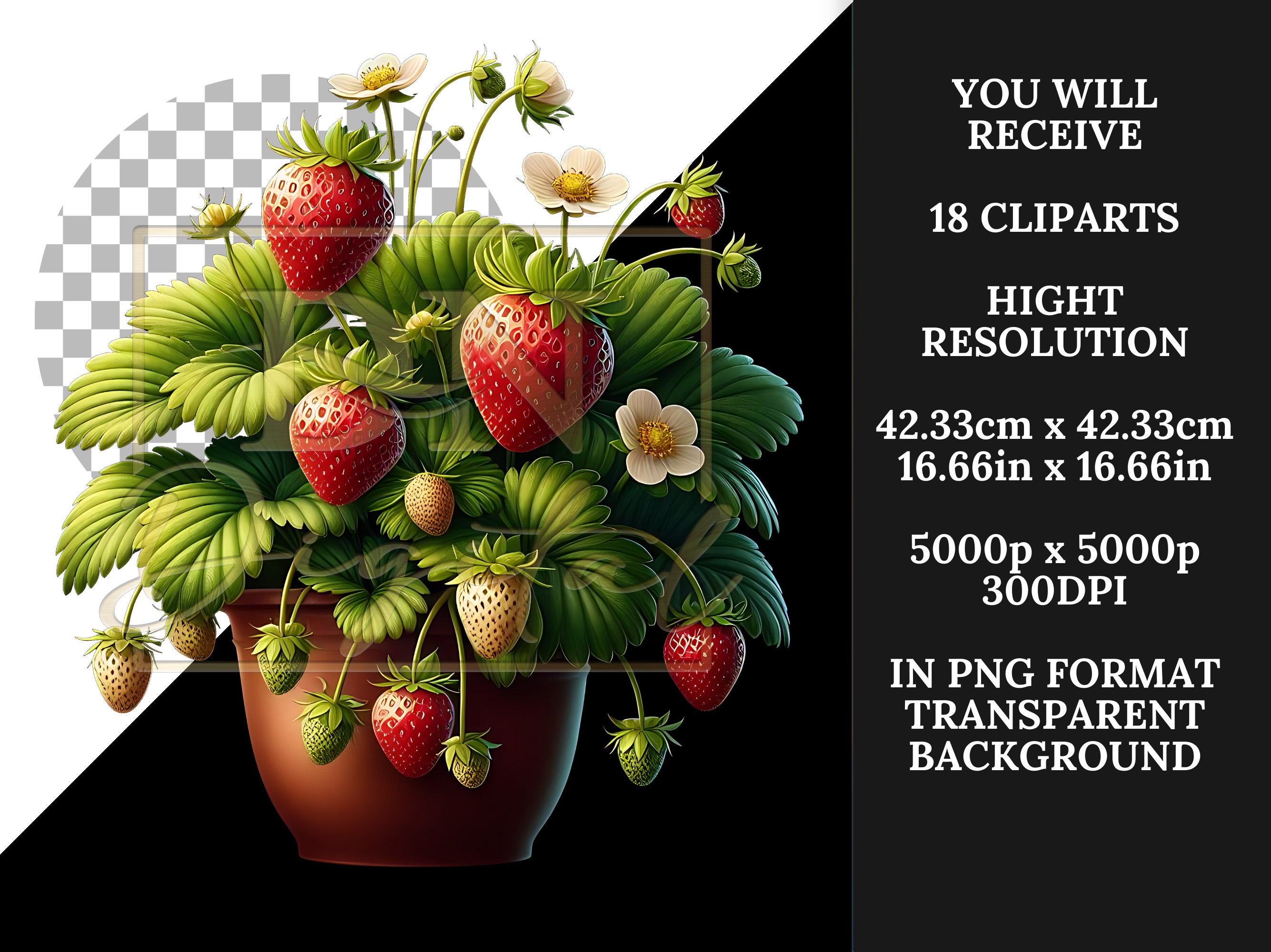 18 Strawberry Plants Clipart Collection With Free Commercial License ...