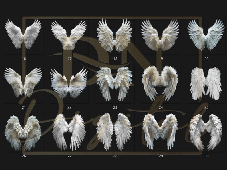 30 Feather Angel Wings Photo Overlays/clipart Collection •photoshop ...