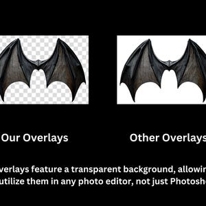 30 Bat Wings Overlays/clipart Collection for Halloween & Fantasy Art ...