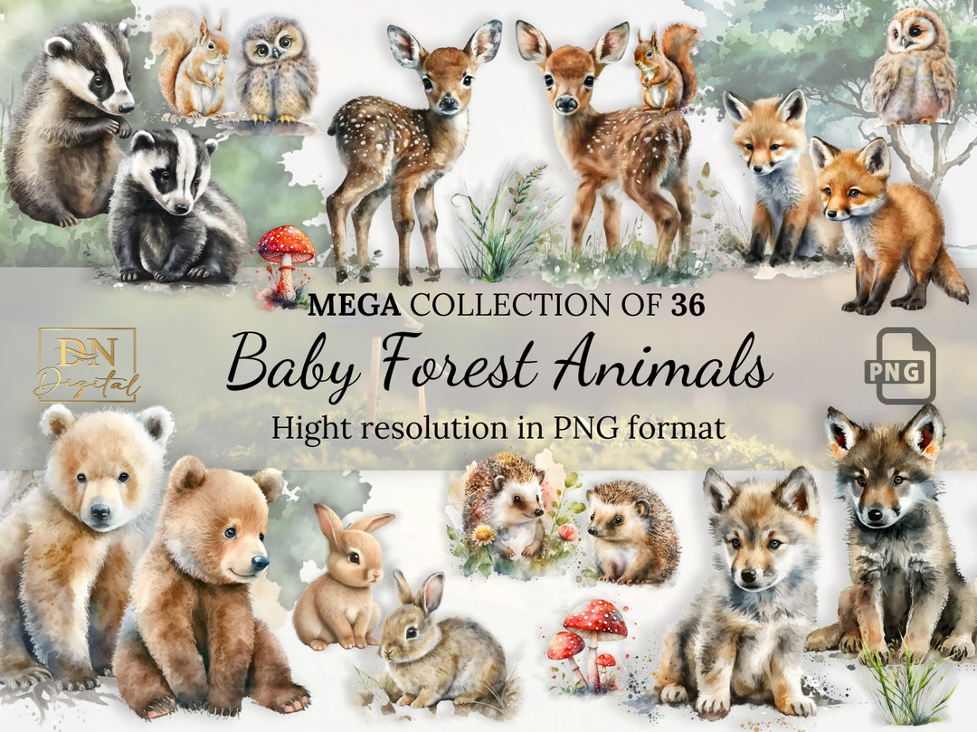 36 Watercolor Baby Forest Animasl Clipart Collection PNG Images With ...