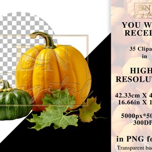 Pumpkins Clipart Collection With Free Commercial License Vibrant Autumn ...