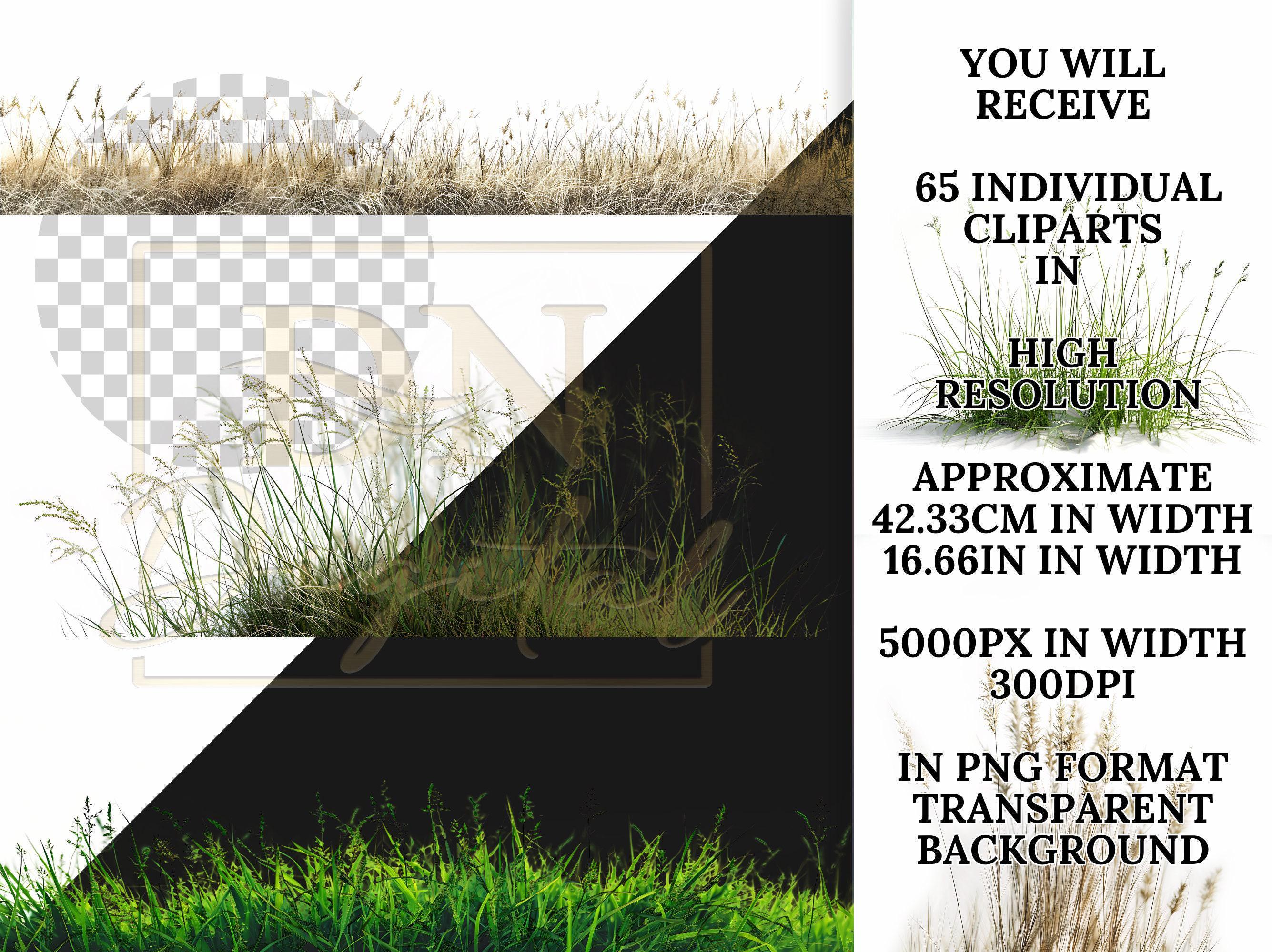 65 Grass Overlays/clipart Collection • Green & Dry Grass PNG With ...