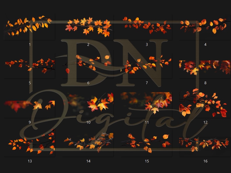 52 Fall Branches Overlays/clipart Collection • Autumn Leaves Clip Art ...