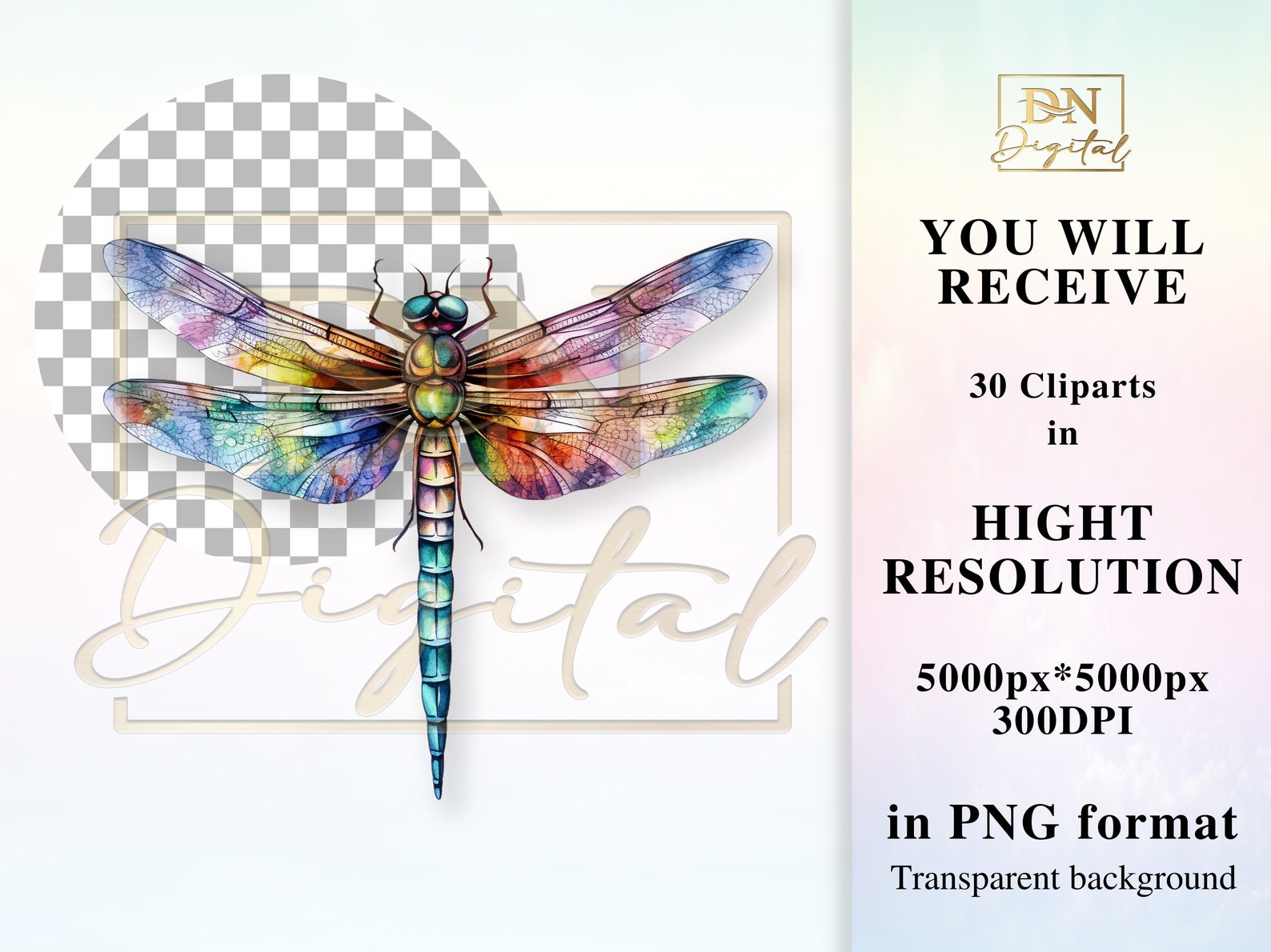 Watercolor Dragon-fly Clipart Collection Watercolor - Etsy