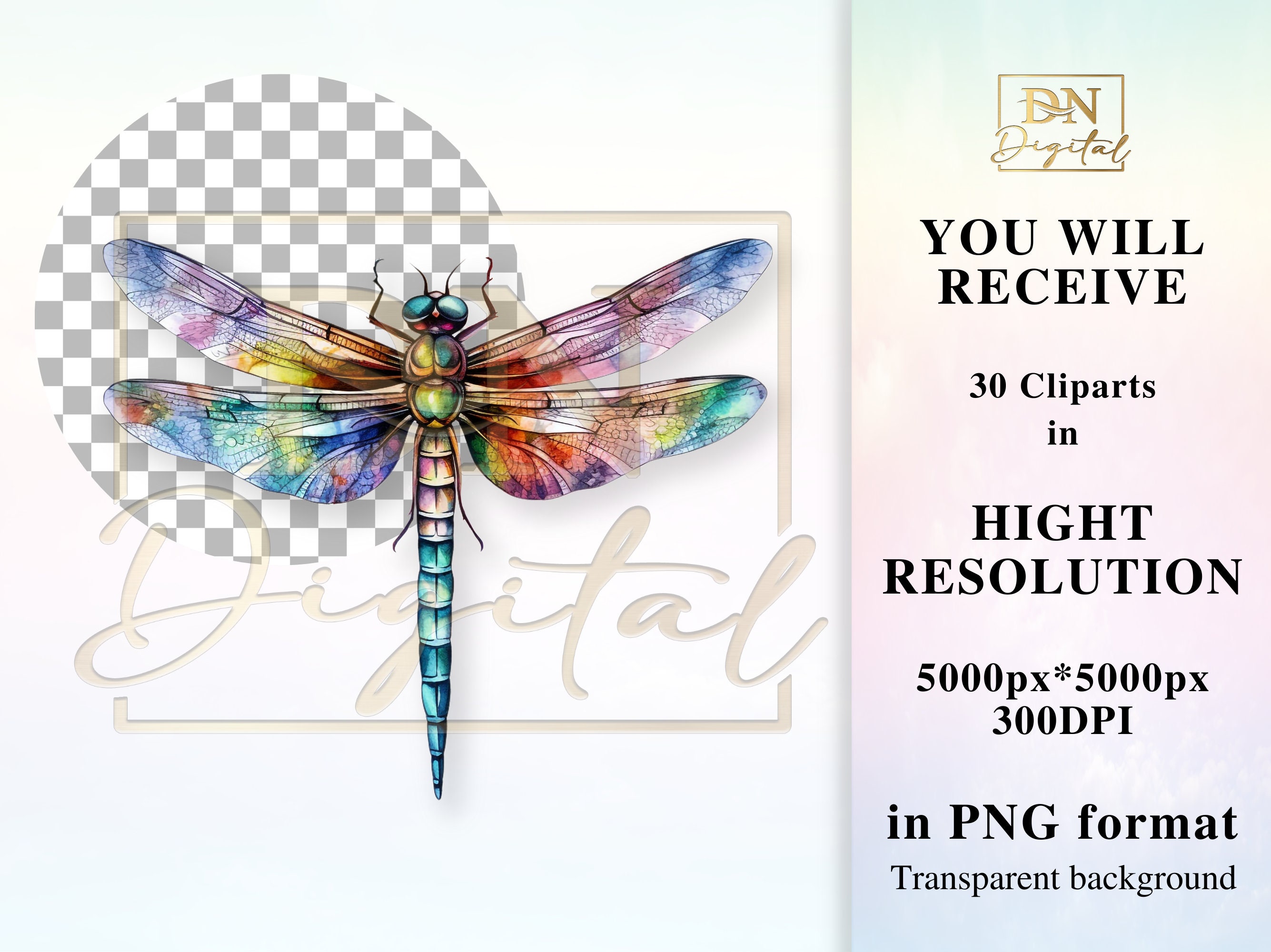 Watercolor Dragon-fly Clipart Collection Watercolor - Etsy