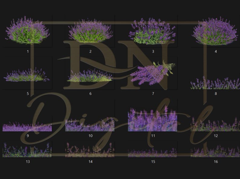 70 Lavender Overlays/clipart Collection • Natural Flowers Clip Art ...