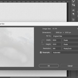40 Fog and Mist Overlays Clipart Collection • High-resolution ...