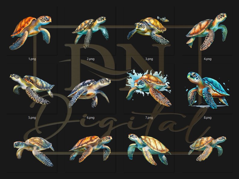 Sea Turtle PNG Sea Turtle Clipart Sea Animals PNG Cute - Etsy