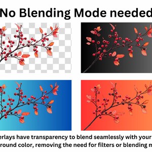 64 Winter Berry Branches Overlays/clipart Collection • Frozen Berries ...