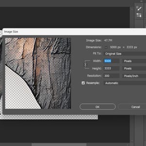 30 Bat Wings Overlays/clipart Collection for Halloween & Fantasy Art ...