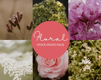 Neutral Stock Photo - Etsy