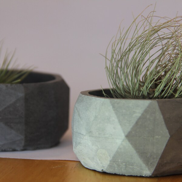 Air Plant Pot - Etsy