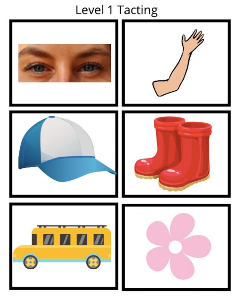 VB-MAPP Kit: Level 1 Digital - Etsy