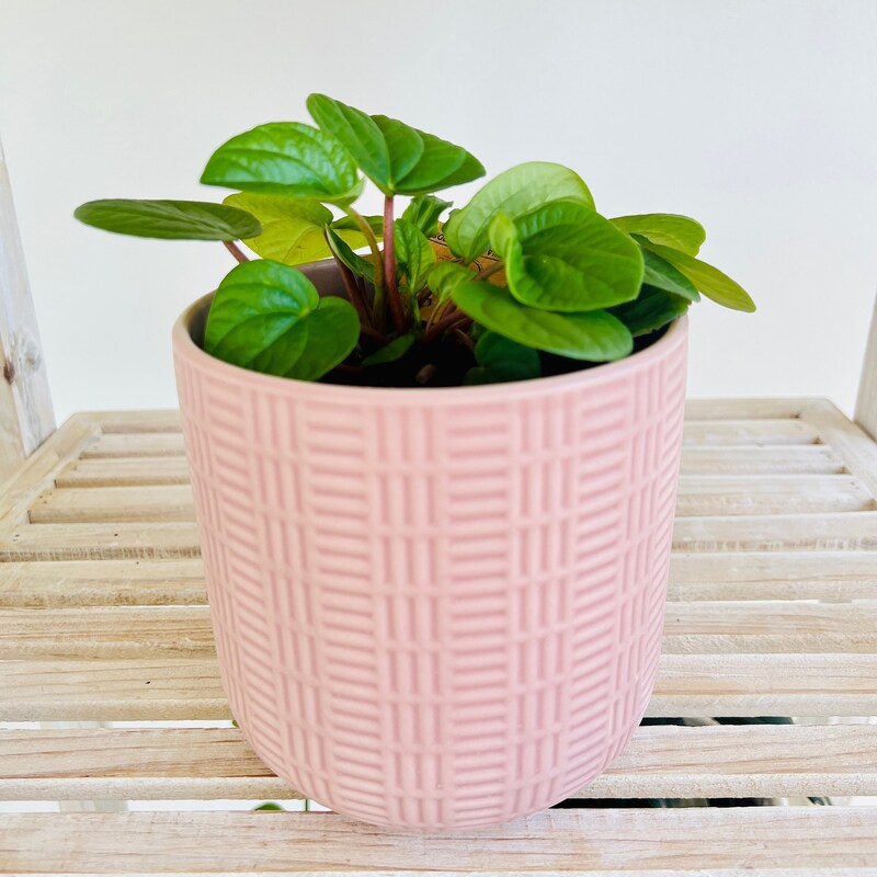 Pink Plant Pot - Etsy UK