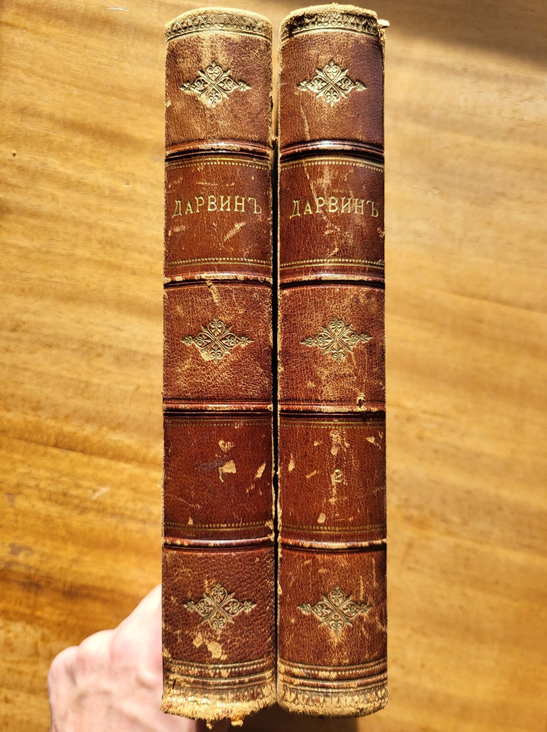 Charles Darwin. Works. / in 2 Volumes. 1896. - Etsy
