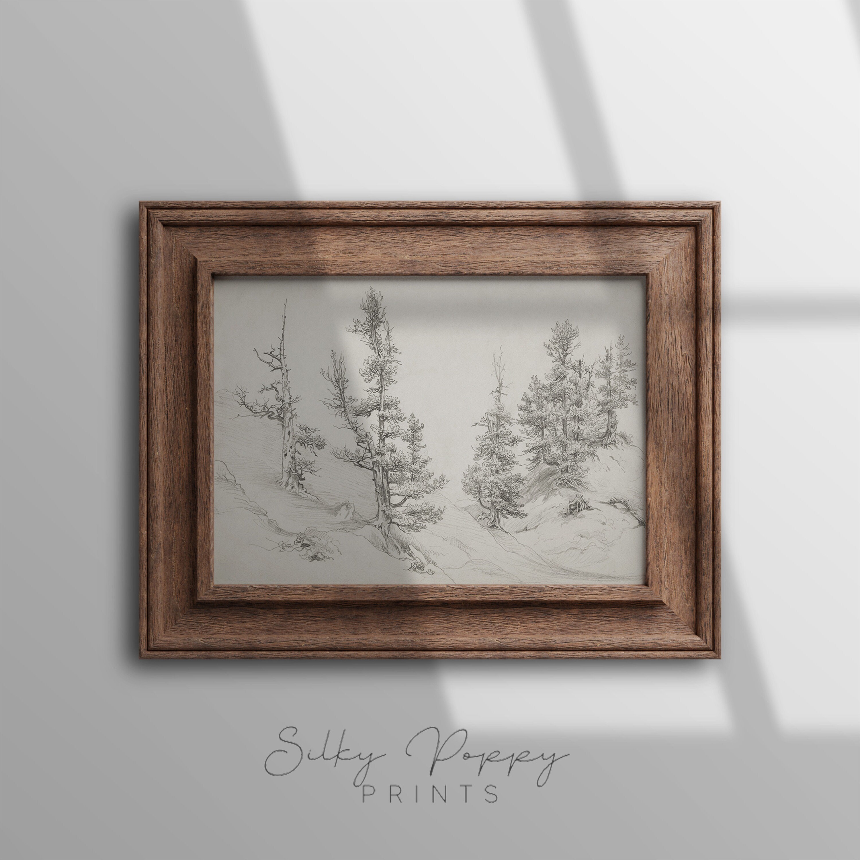 Vintage Pine Forest Sketch Print | Vintage Forest Drawing | Antique ...