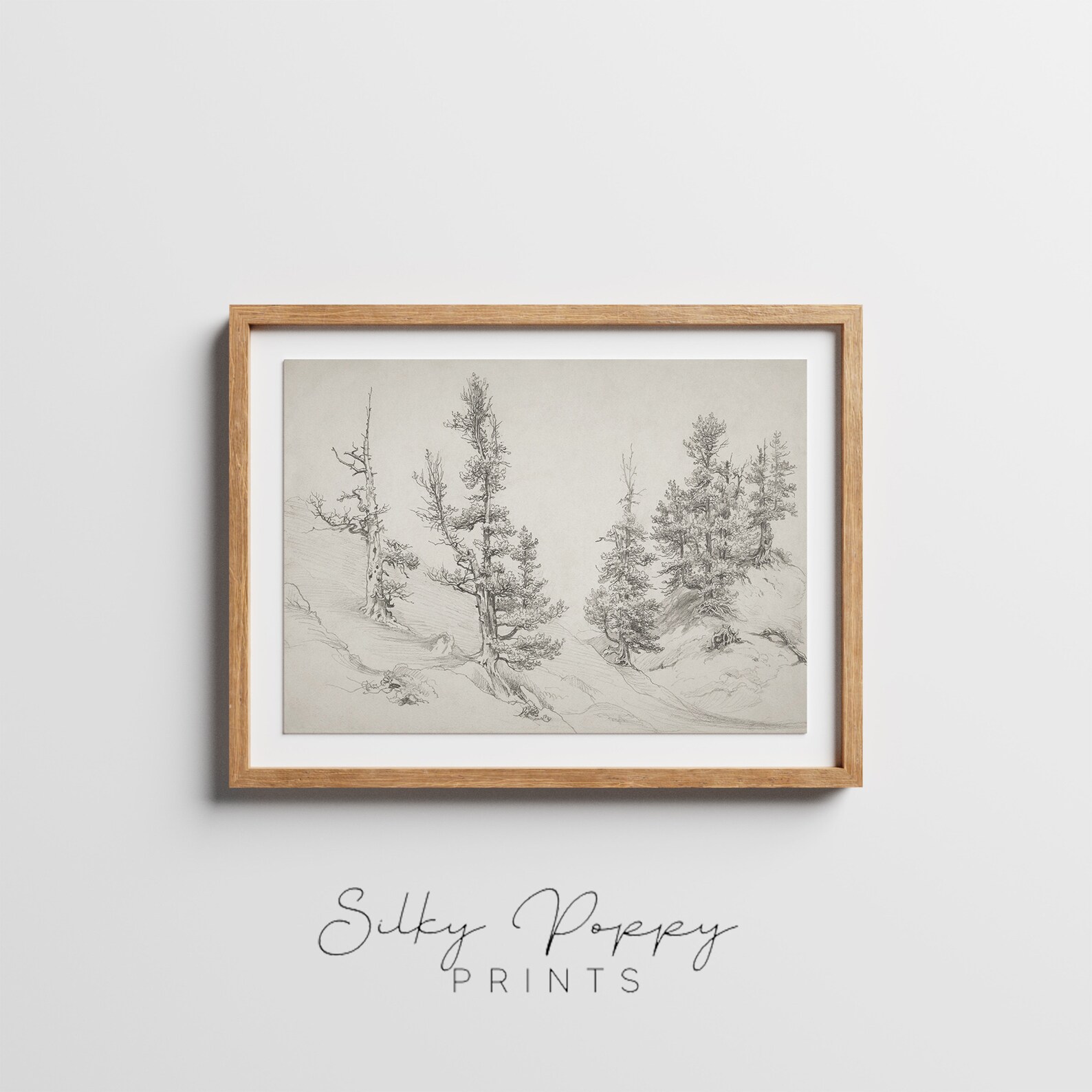 Vintage Pine Forest Sketch Print | Vintage Forest Drawing | Antique ...