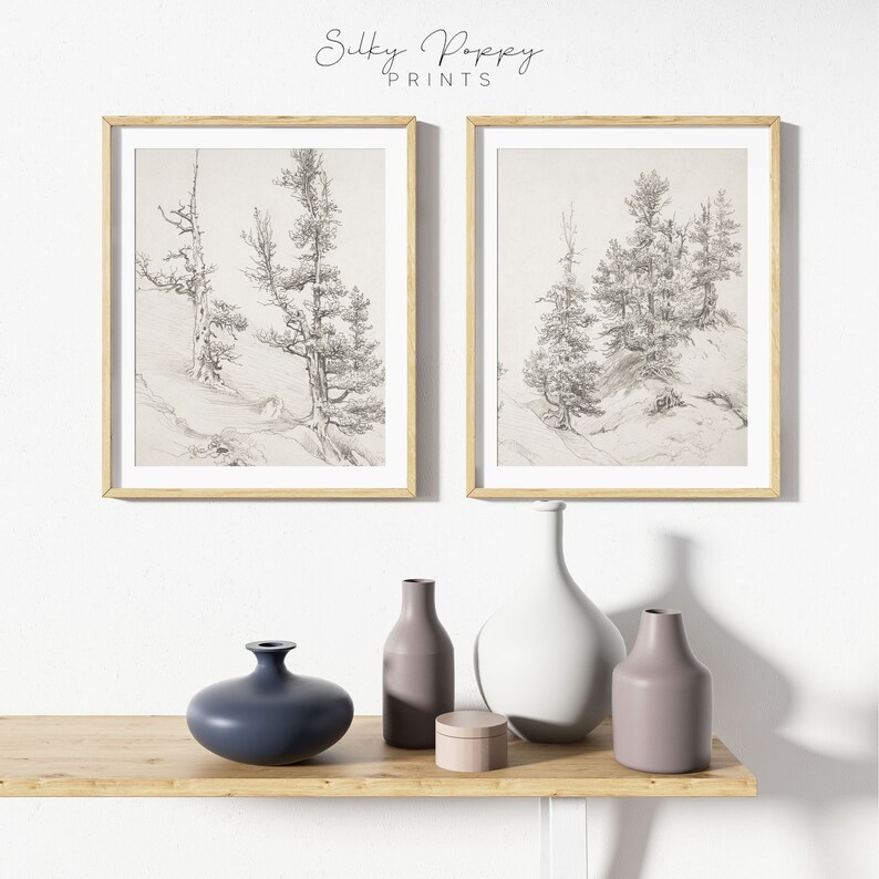 Vintage Pine Forest Sketch Print Set of 2 | Vintage Forest Drawing ...