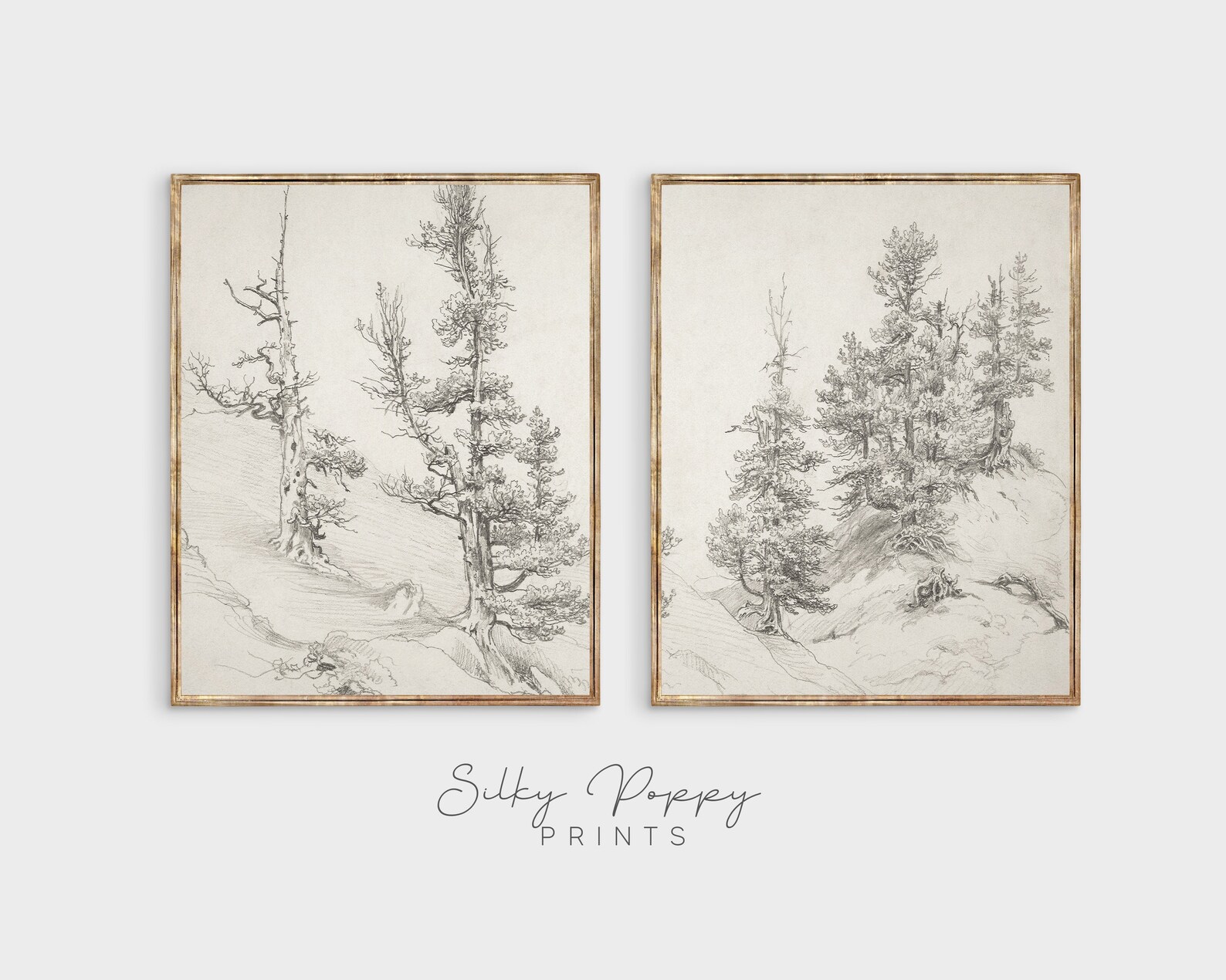 Vintage Pine Forest Sketch Print Set of 2 | Vintage Forest Drawing ...
