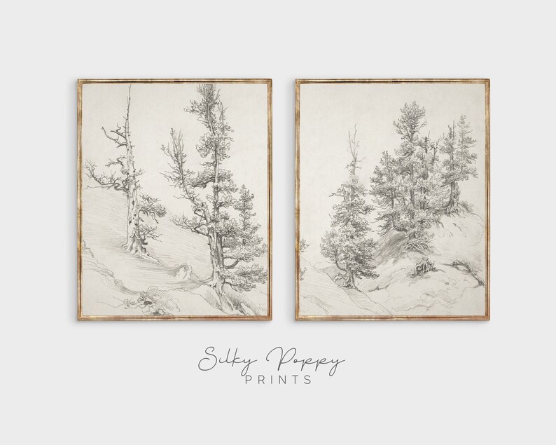 Vintage Pine Forest Sketch Print Set of 2 | Vintage Forest Drawing ...