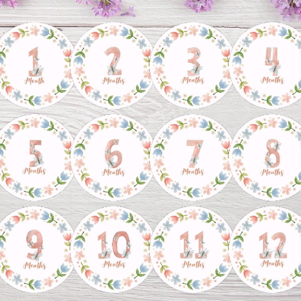 Baby Boy Month Stickers - Etsy