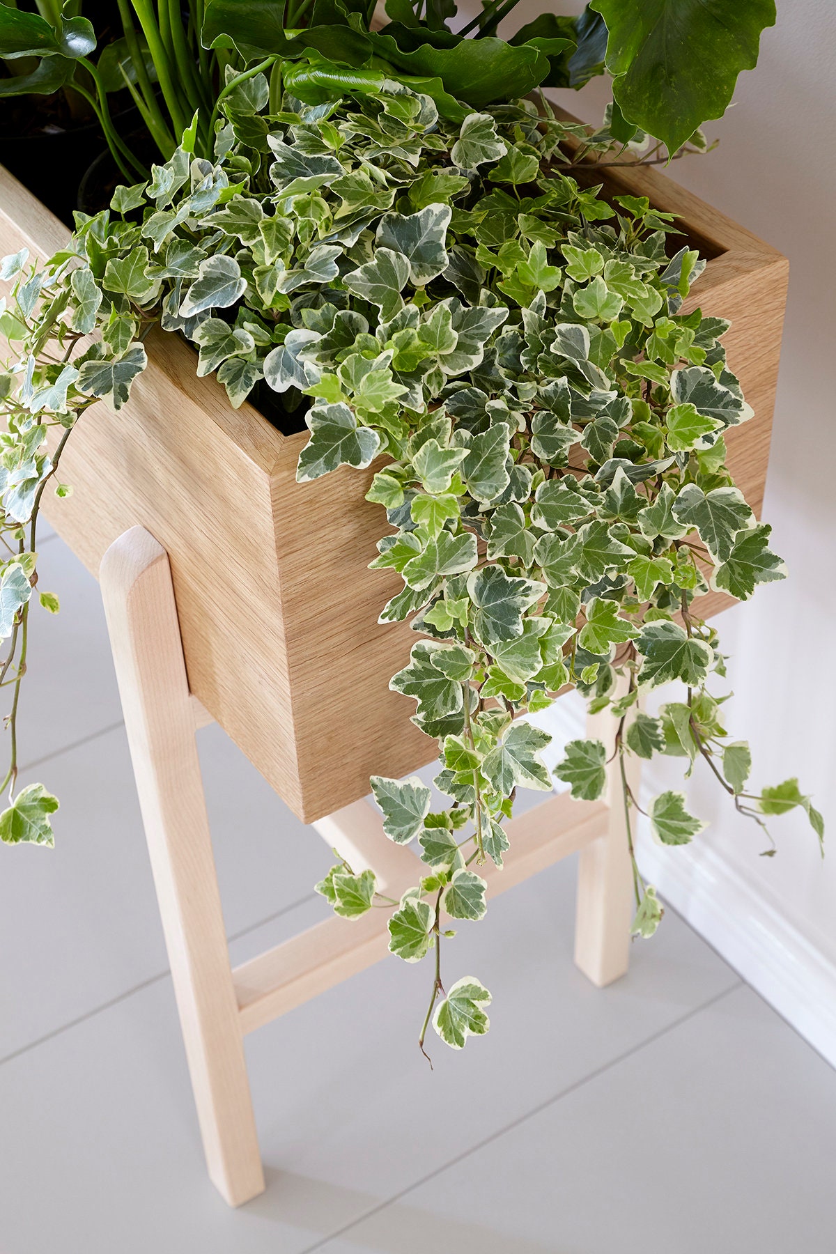 Pippa Planter Oak and Maple / House Plant / Book Storage - Etsy