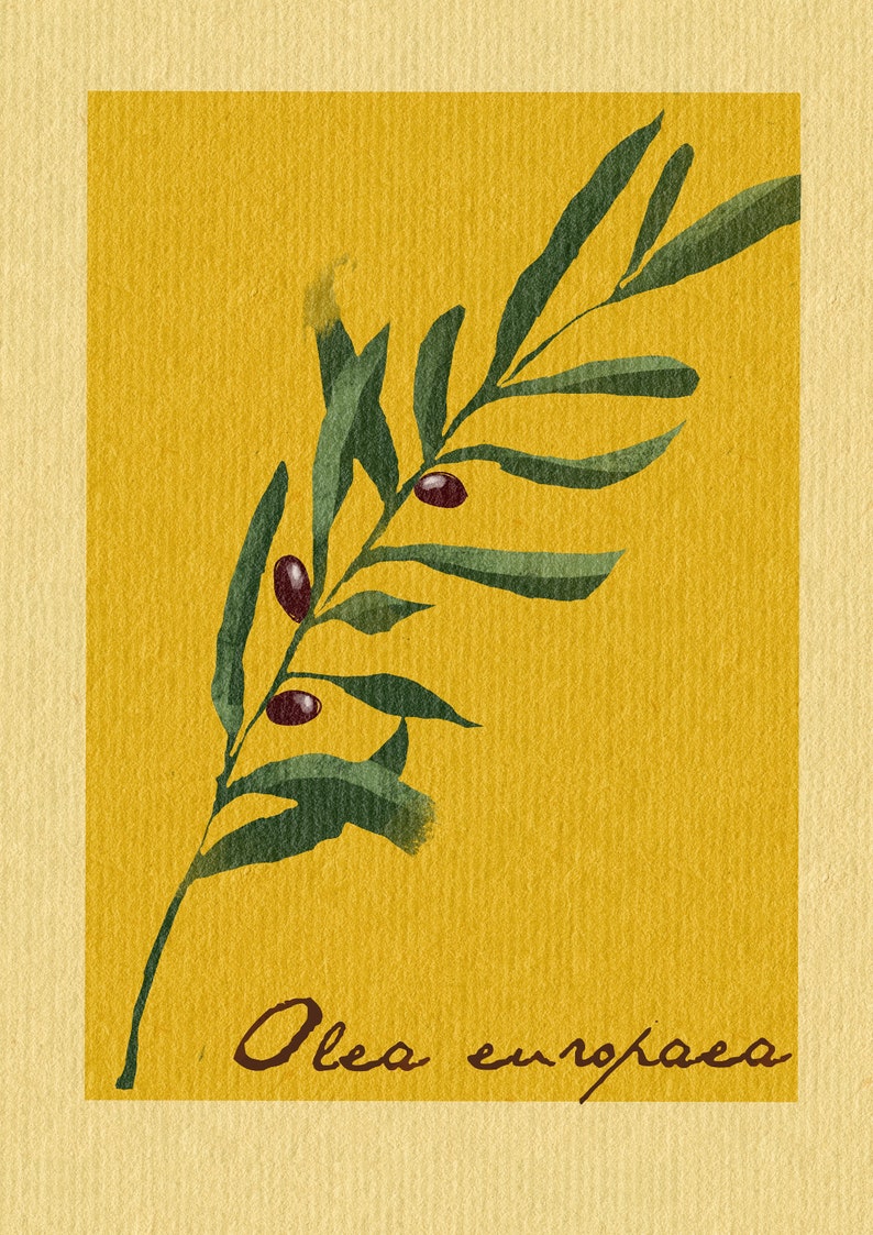 Olive Branch Poster, Perfect for Kitchen and Living Room. A3 and A4 ...
