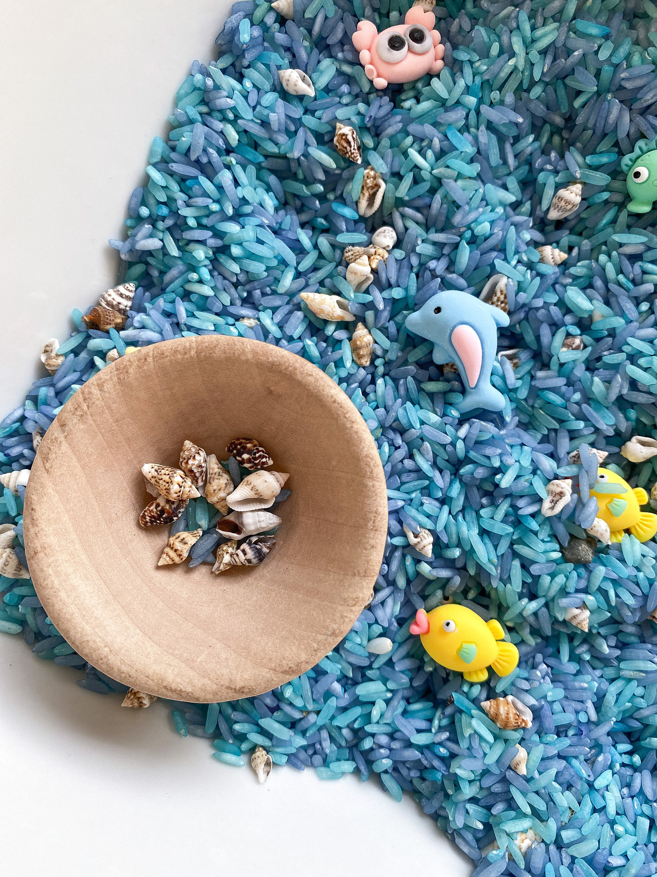 Ocean Friends Sensory Mix, Sensory Rice, Sensory Bin Filler, Sensory ...
