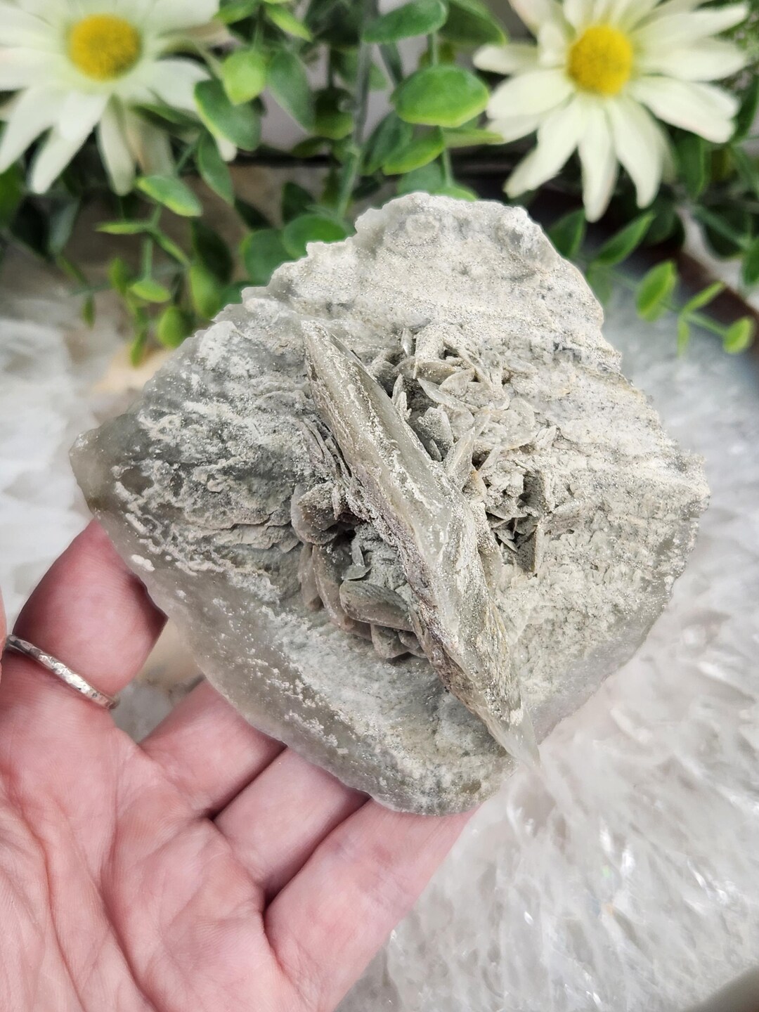 Gypsum 'dirty Diamond' Specimen- UV Reactive (great Salt Lake, Utah) - Etsy
