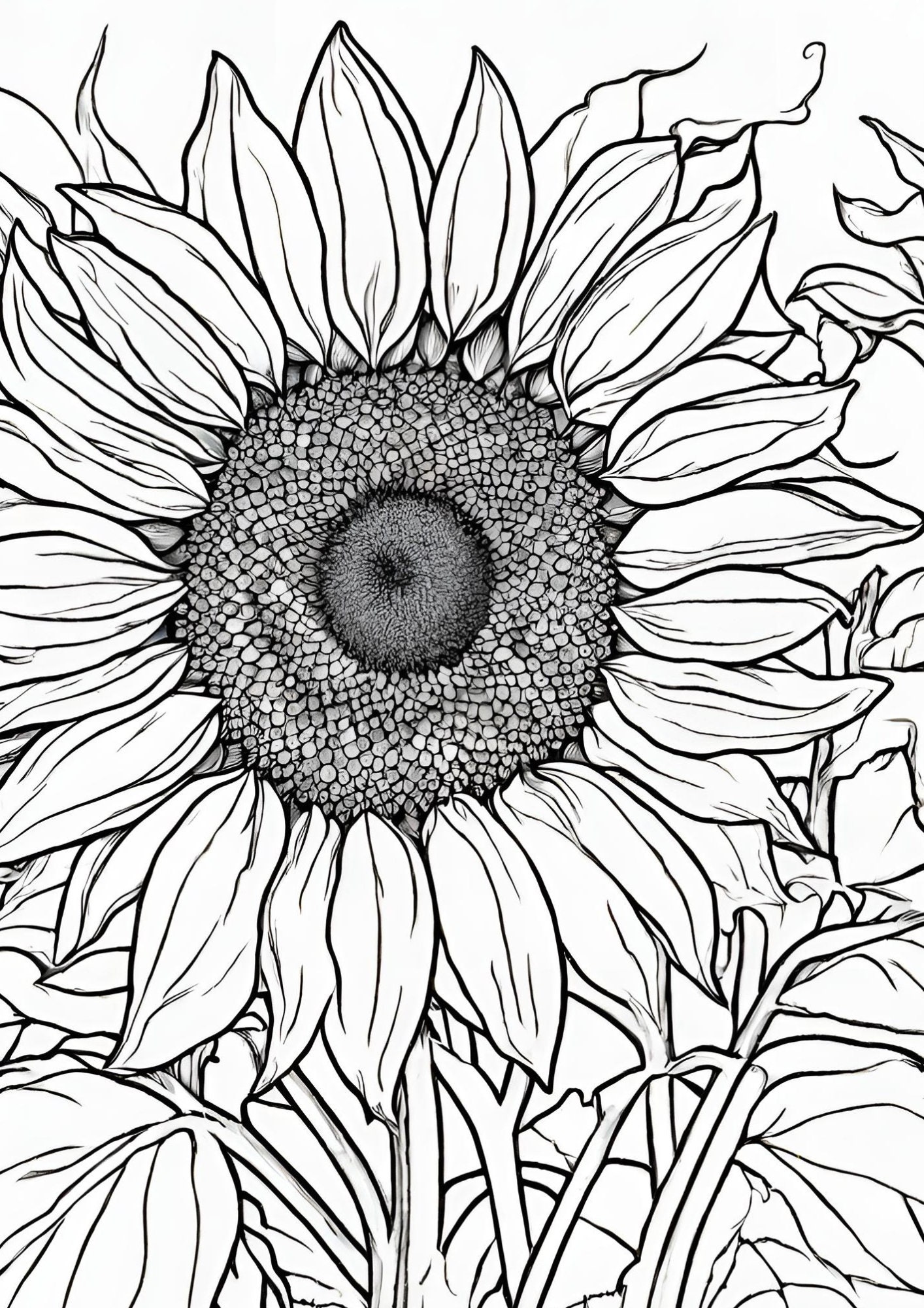 Sunflower Coloring Pages Floral Adult Coloring Printable - Etsy