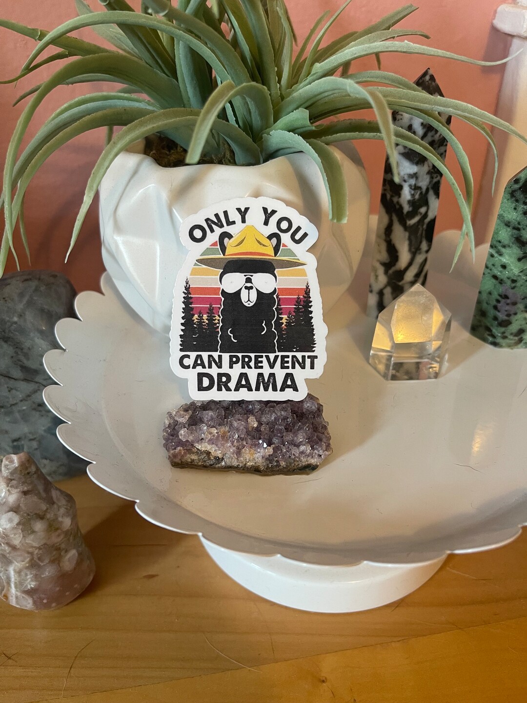 Only You Can Prevent Drama Vinyl Sticker, Laptop Sticker, Water Bottle ...