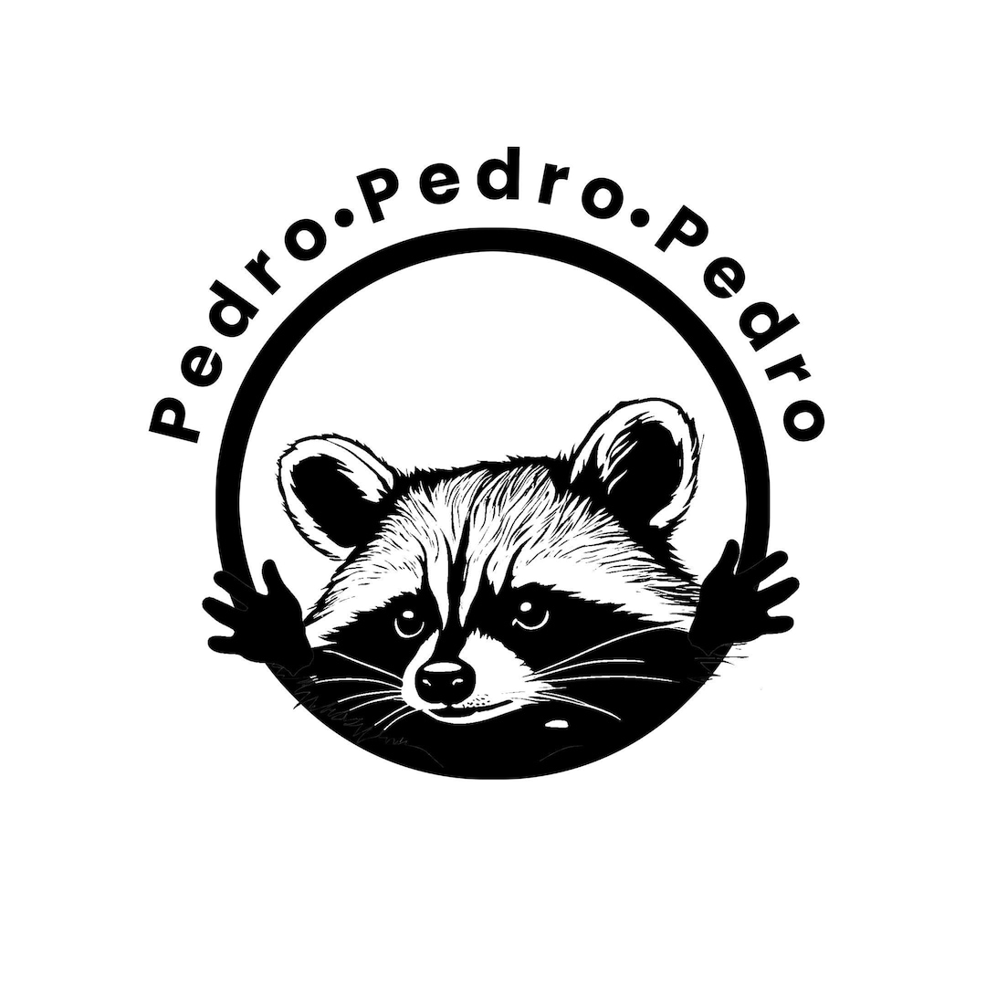 Pedro Svg, Pedro Meme Svg, Pedro Pedro Svg, Funny Raccoon Svg, Funny ...