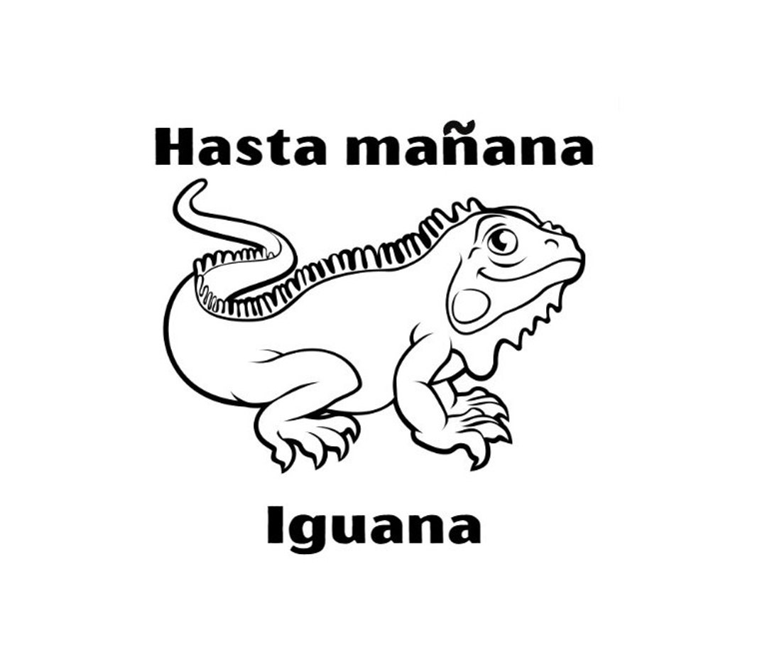 Manana Iguana Cover Book