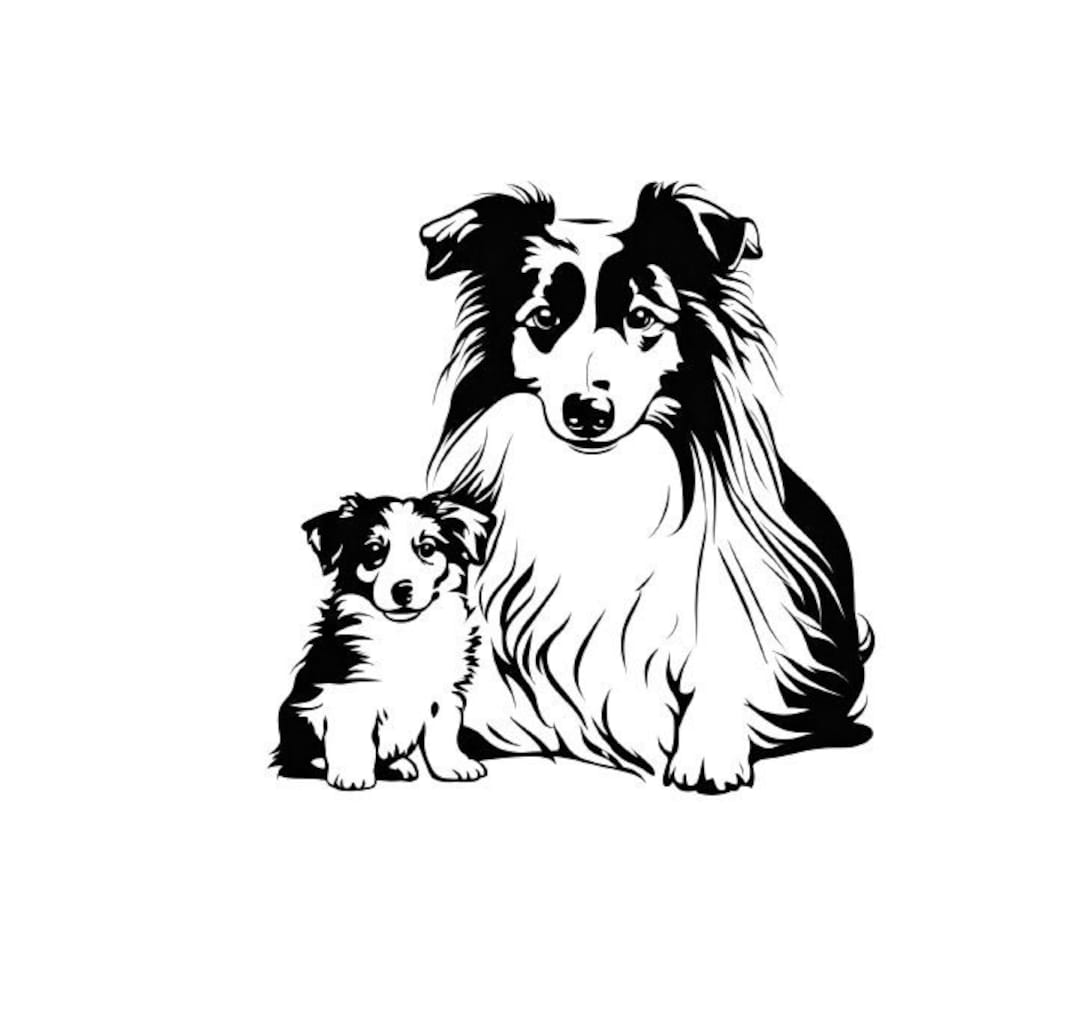 Sheltie Svg Shetland Svg Sheepdog Svg Sheltie Puppy Svg - Etsy
