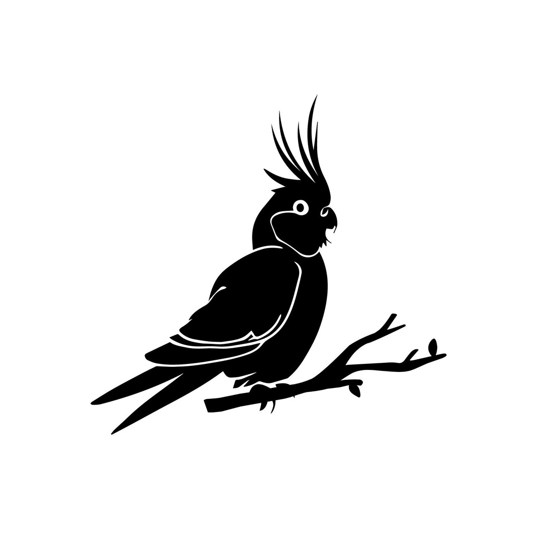 Cockatiel Svg, Cockatiel Clipart, Bird Svg, Bird Clipart, Pet Bird Svg ...