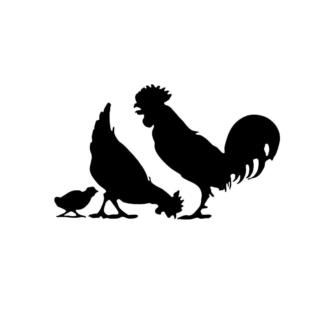 Chickens Svg, Rooster Svg, Chicken Svg, Farm Svg, Farm Animal Svg ...