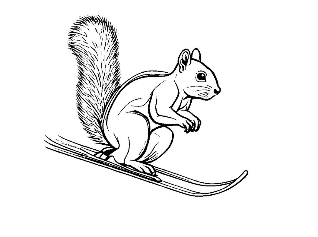 Squirrel Svg, Skiing Svg, Squirrel Skiing Svg, Skiing Squirrel Svg, Funny Squirrel Svg, Sports ...