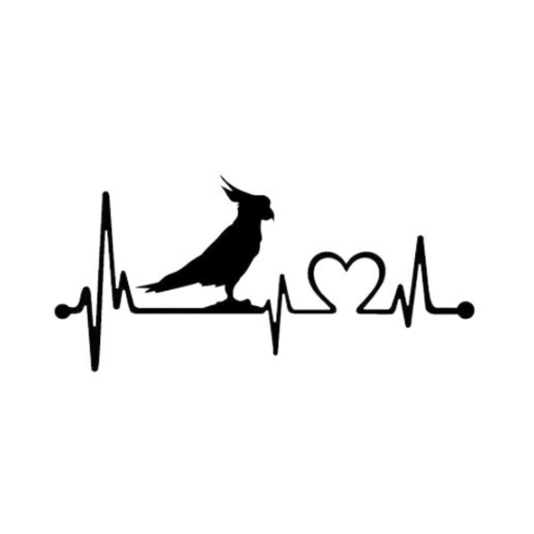 Cockatiel Svg, Bird Svg, Heartbeat Svg, Bird Heart Beat Svg, I Love ...