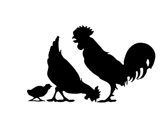 Pollos svg gallo svg pollo svg granja svg animales de - Etsy España