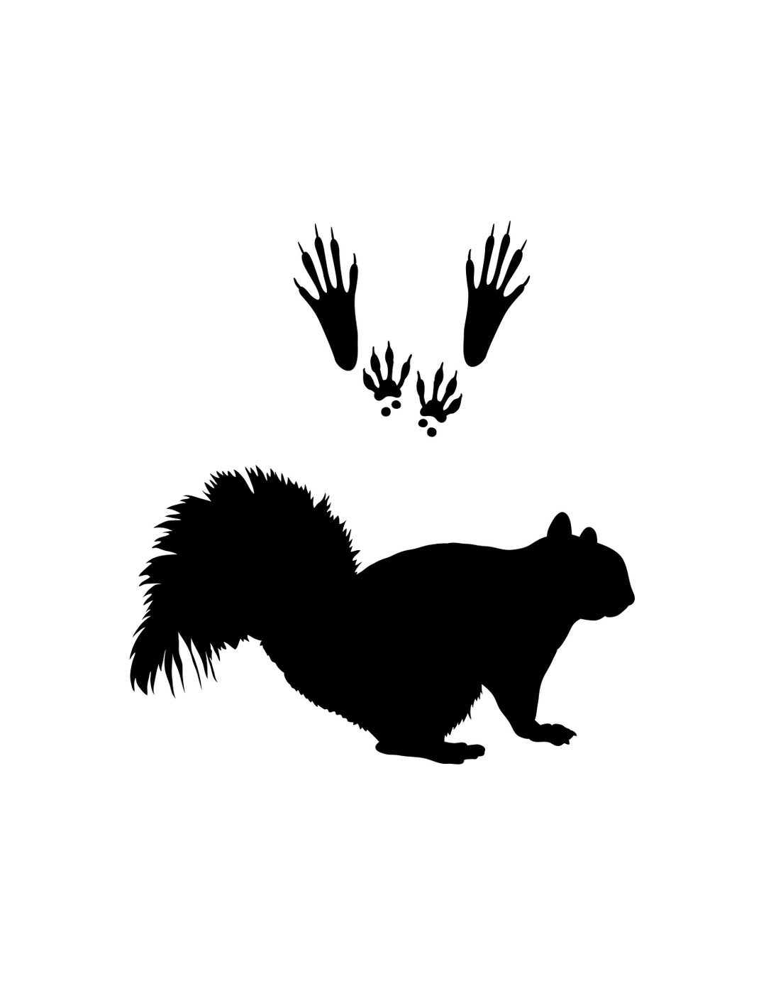 Squirrel Svg, Squirrel Feet Svg, Squirrel Tracks Svg, Squirrel SVG DXF ...