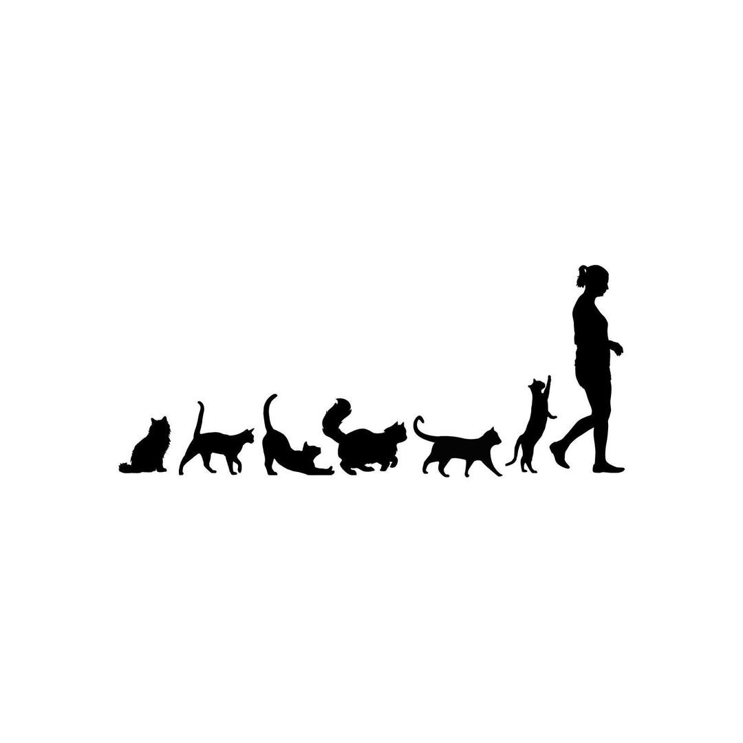 Crazy Cat Lady Svg, Parade of Cats Svg, Cat Lady Svg, Funny Cat Lady ...