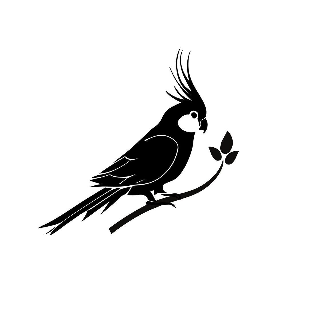 Cockatiel Svg, Cockatiel Clipart, Bird Svg, Bird Clipart, Bird Png ...