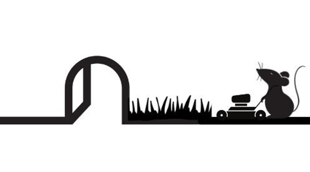 Mouse Svg, Mouse Hole Svg, Baseboard Svg, Mouse Life Svg, Mouse Mowing ...