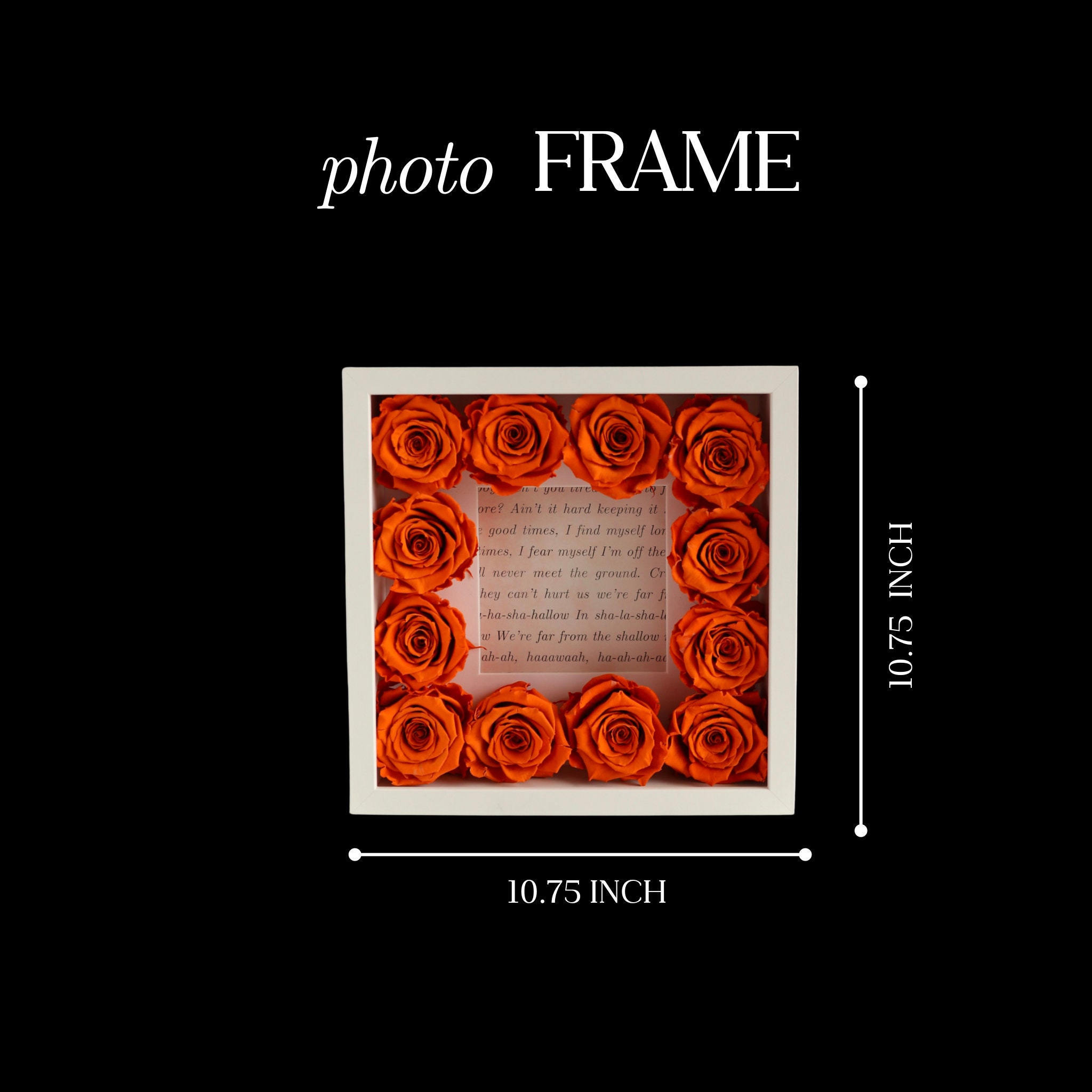 New Baby Shadow Box Photo Frame, Preserved Real Roses Custom White ...