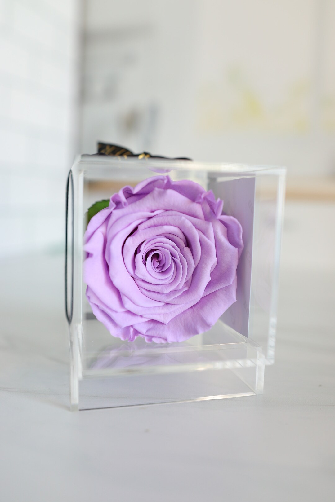 Friendship Single Rose Gift With Photos, Premium Real Preserved ...