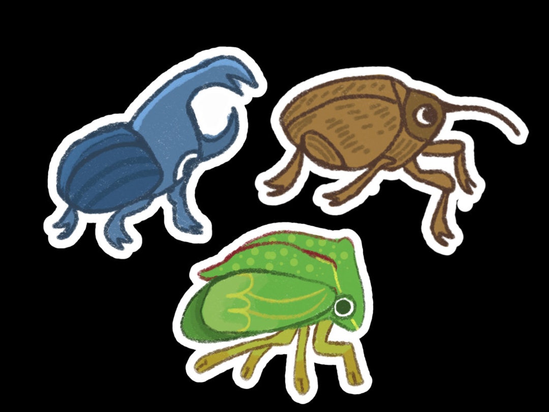 Bug Stickers Decals Set of Three Original Design (leafhopper, Hercules ...