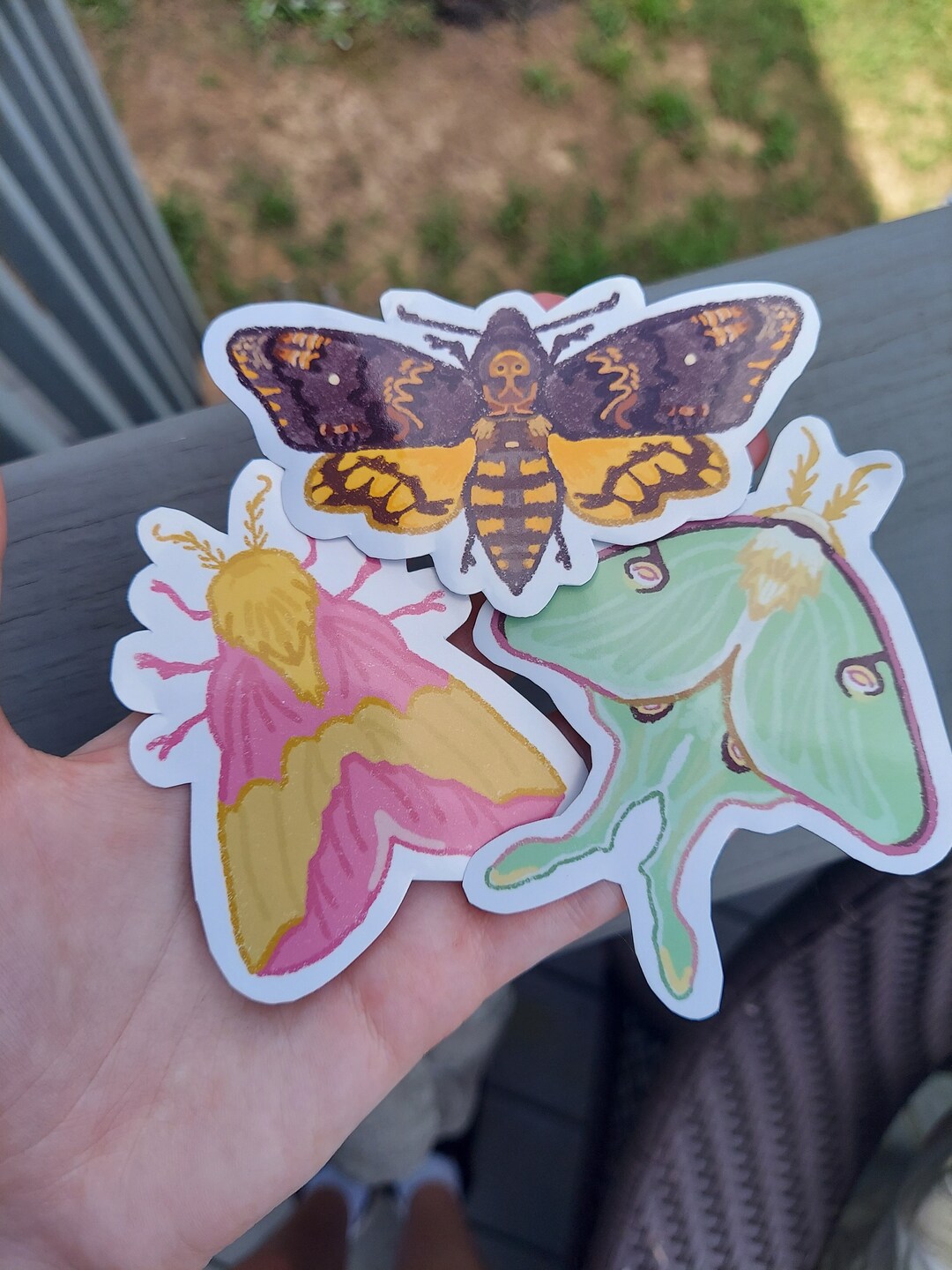 Cute Moth Sticker Set Bug Decals Original Design - Etsy