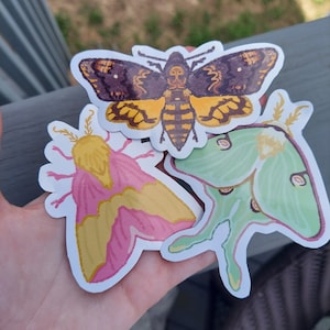 Cute Moth Sticker Set Bug Decals Original Design - Etsy