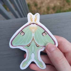 Cute Moth Sticker Set Bug Decals Original Design - Etsy